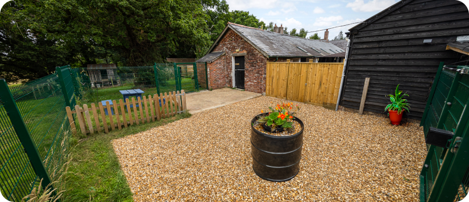 Muttley's Doggy Daycare - Leading Dog Services