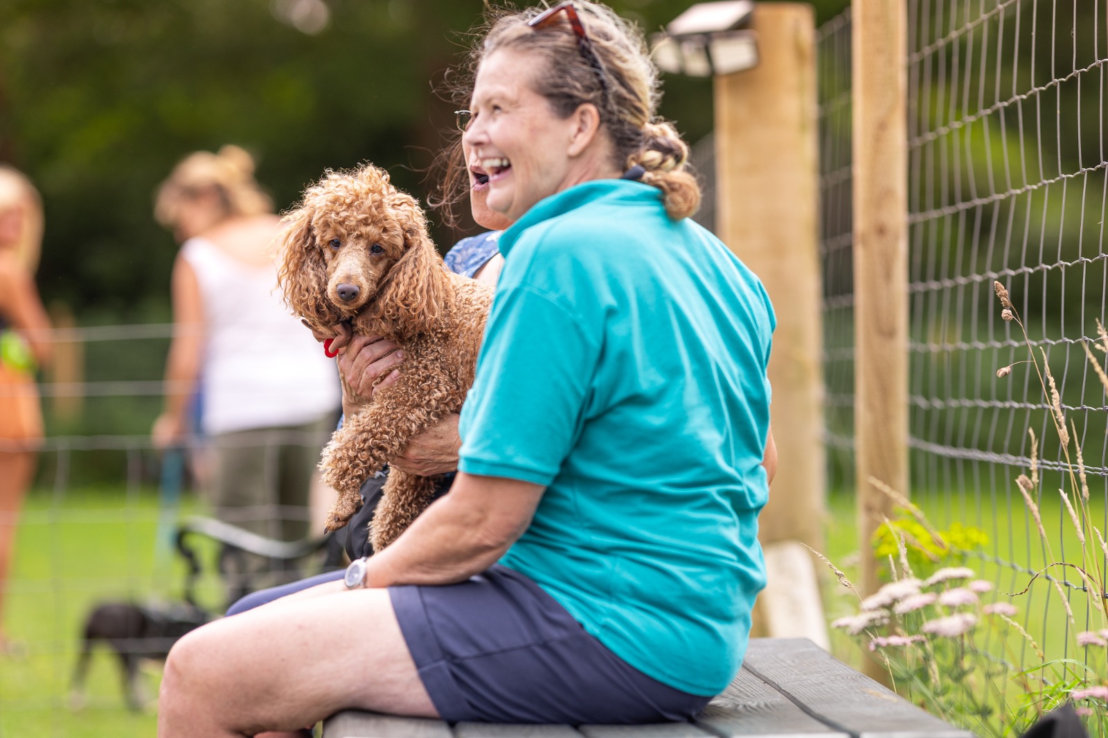 Muttley's Doggy Daycare - Leading Dog Services